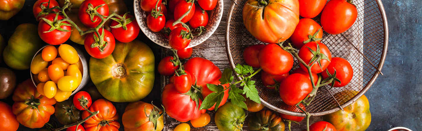 Cookidoo® – a plataforma oficial de receitas Bimby®