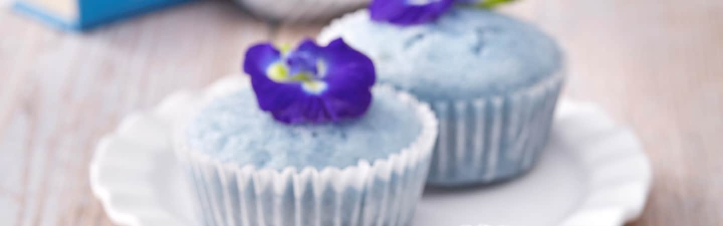 Blue Flower For Nonya Kueh | Best Flower Site
