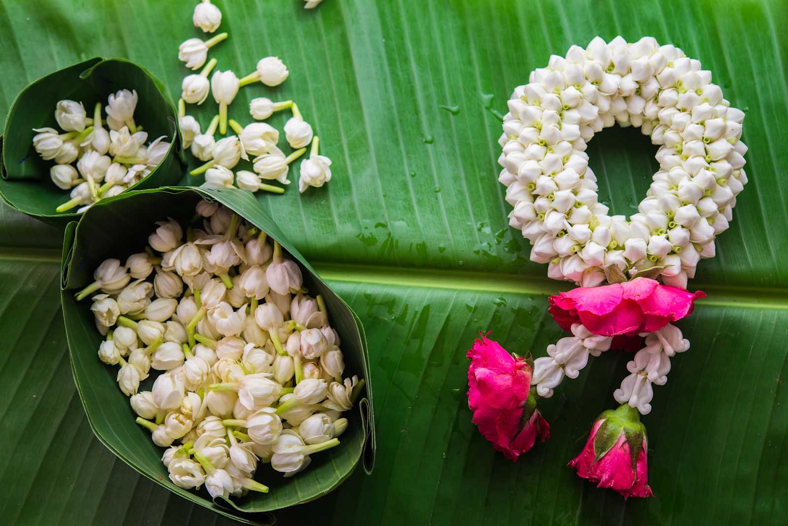 Entdecken, wie der Muttertag weltweit gefeiert wird – Cookidoo® – das ...