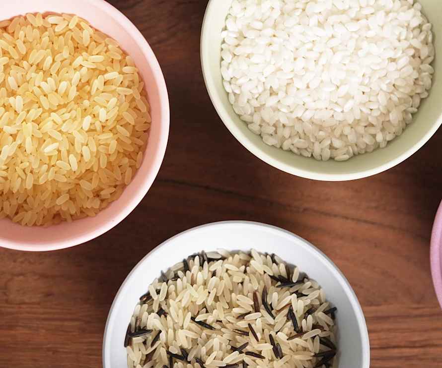 Thermomix® TM6 Modes: Explained – Cookidoo® – the official Thermomix ...