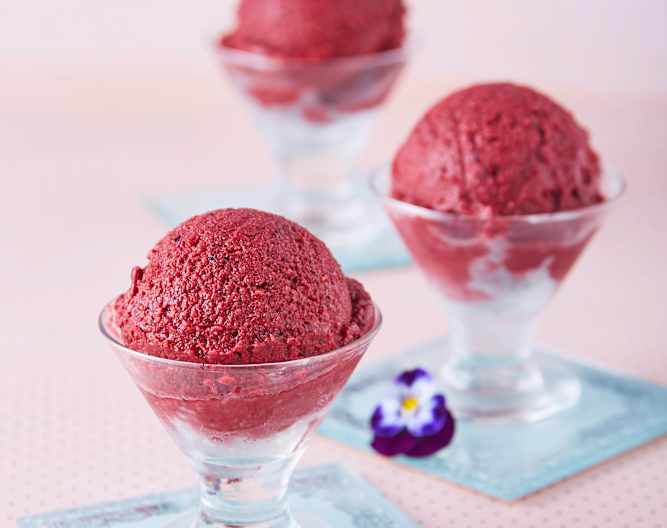 Sorbete de frutos rojos y yogur - Cookidoo® – la plataforma de recetas ...