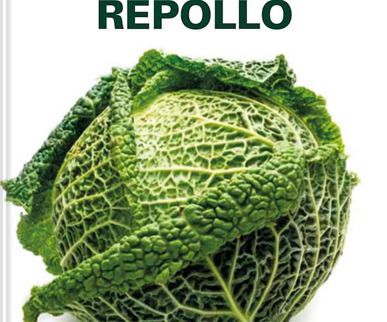 Repollo - Cookidoo® – platform resep resmi Thermomix®